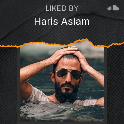 Haris Aslam's Picks - Listen to music