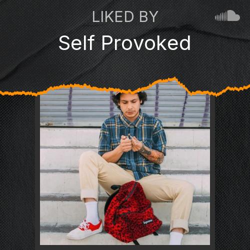Self Provoked's Picks - Listen to music