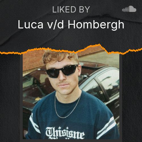 Luca v/d Hombergh's Picks - Listen to music