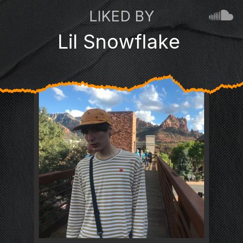 Lil Snowflake 💞's Picks - Listen to music