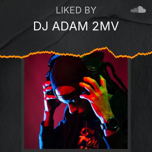 DJ ADAM 2MV's Picks - Listen to music