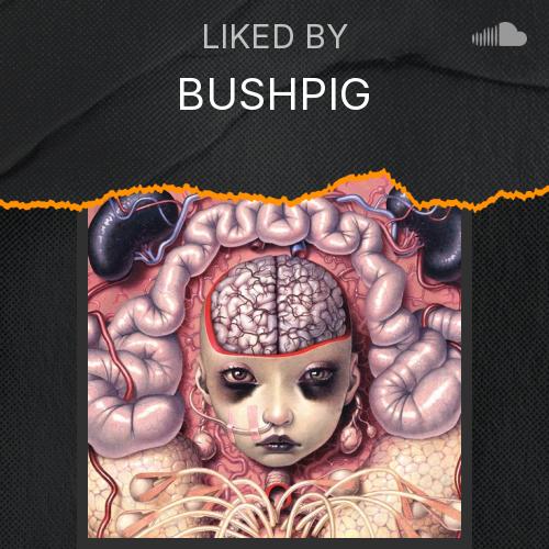 BUSHPIG's Picks - Listen to music