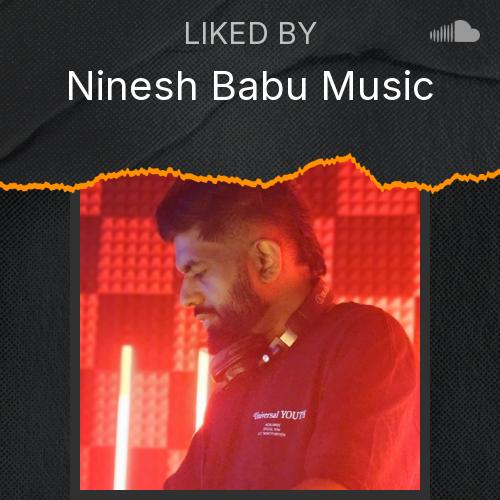 Ninesh Babu Music's Picks - Listen to music