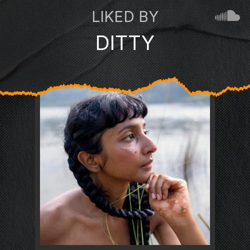 DITTY's Picks - Listen to music