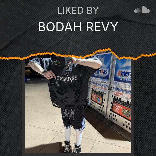 BODAH REVY's Picks - Listen to music