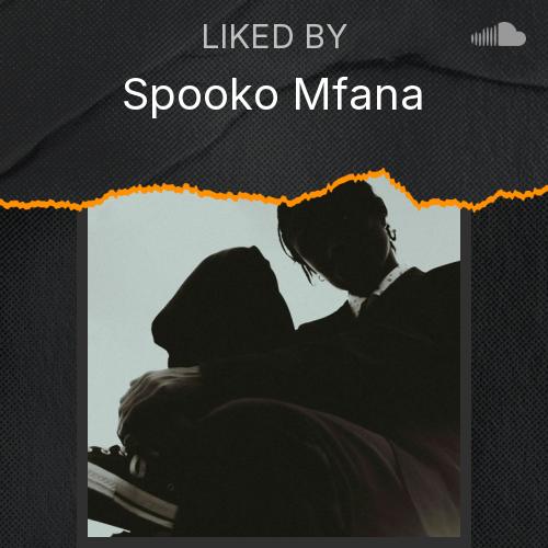 Spooko Mfana's Picks - Listen to music