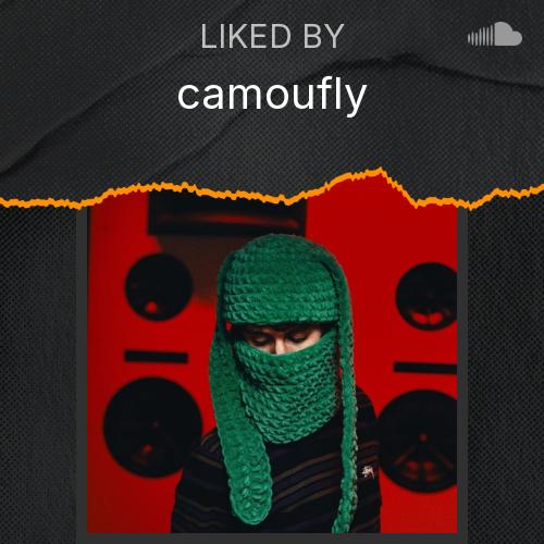 camoufly's Picks - Listen to music