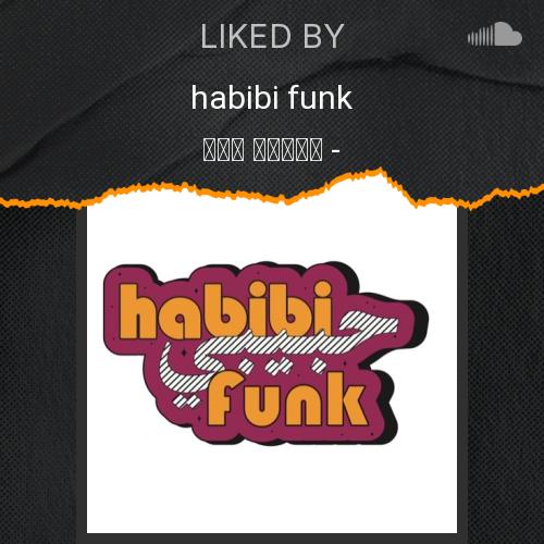 habibi funk - حبيبي فنك's Picks - Listen to music
