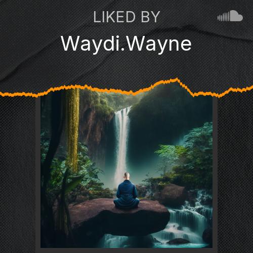 Waydi.Wayne's Picks - Listen to music