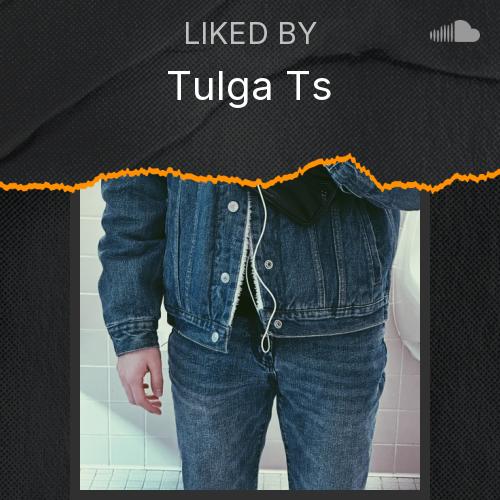 Tulga Ts's Picks - Listen to music