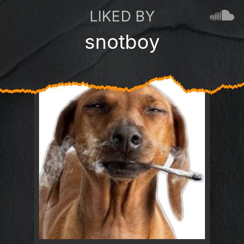 snotboy's Picks - Listen to music