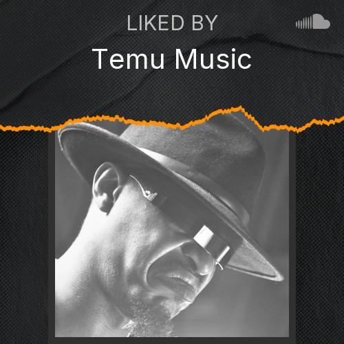 Temu Music's Picks - Listen to music