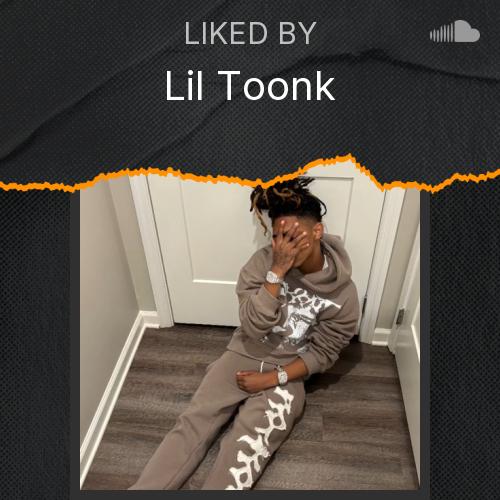 Lil Toonk's Picks - Listen to music