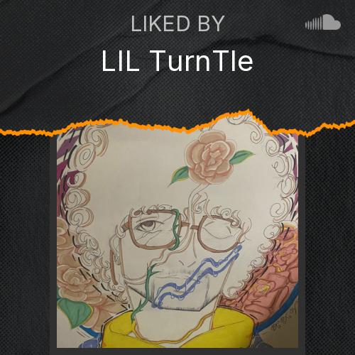 LIL TurnTle's Picks - Listen to music