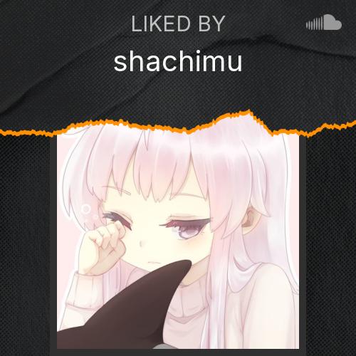 shachimu's Picks - Listen to music