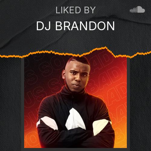 DJ BRANDON's Picks - Listen to music