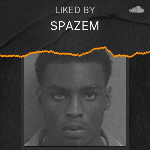 SPAZEM's Picks - Listen to music
