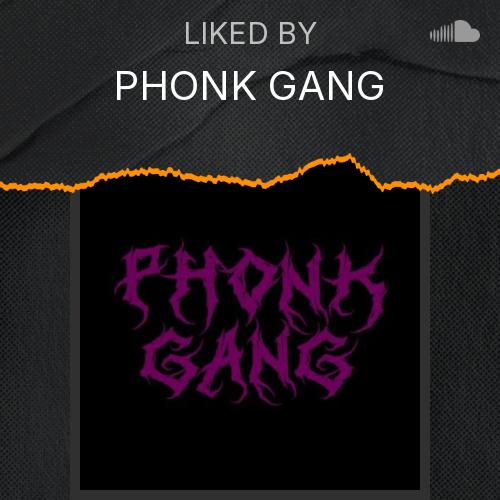 PHONK GANG's Picks - Listen to music