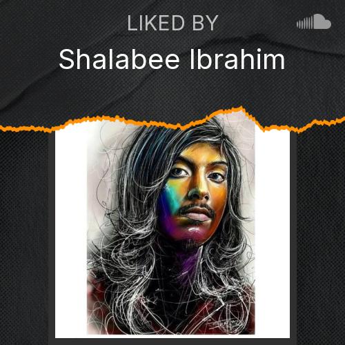 Shalabee Ibrahim's Picks - Listen to music